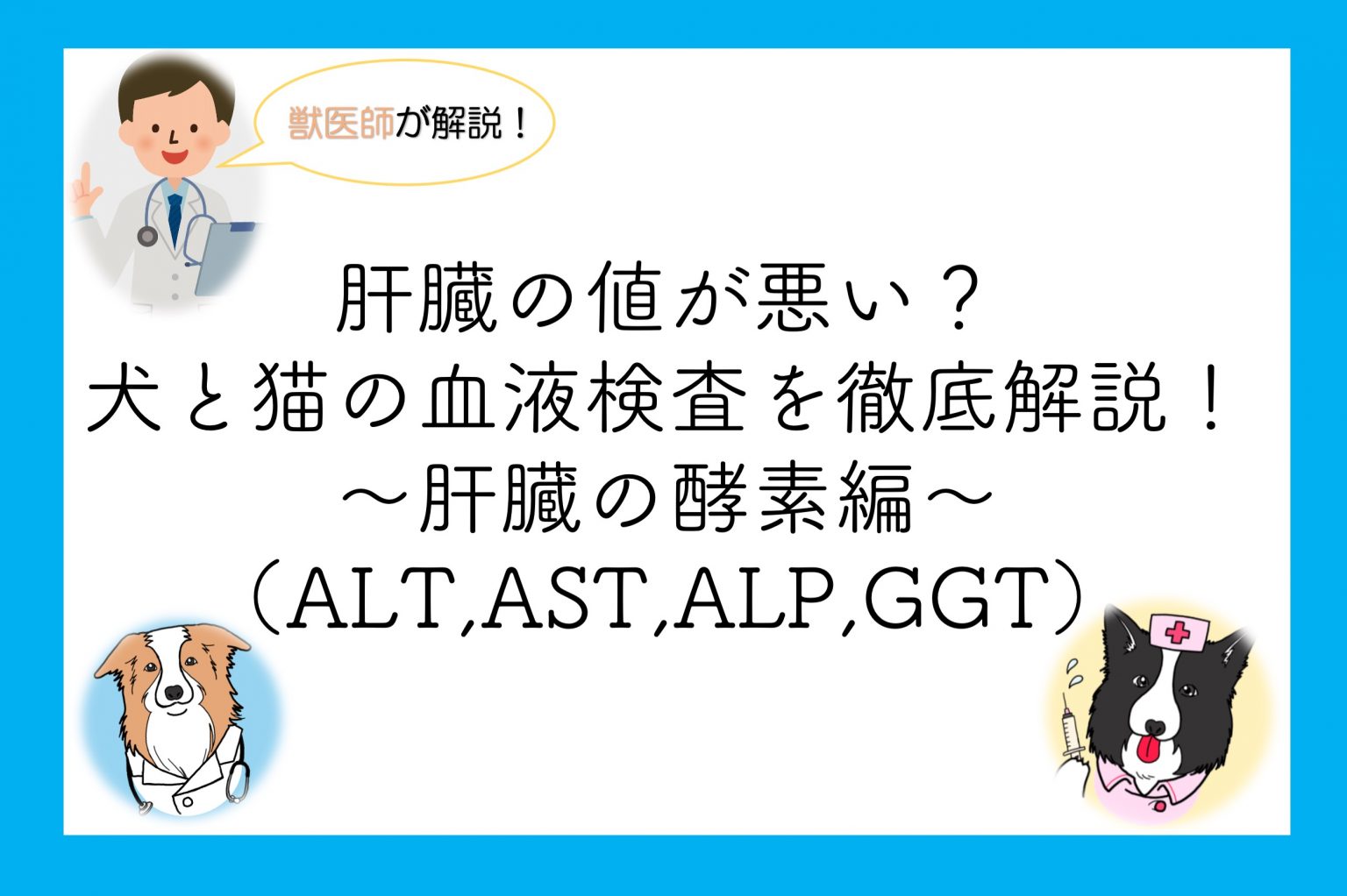 肝臓AST | Life with dogs and cats
